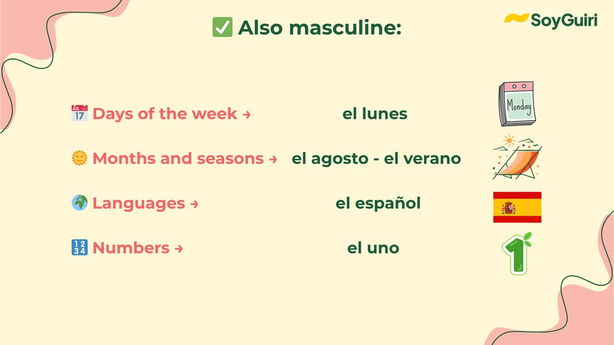 🧠 Words gender in Spanish: How to tell masculine, feminine or common words